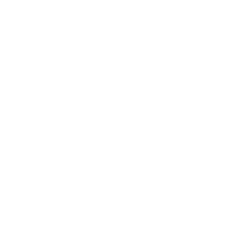 Handee Ultra Paper Towel – Handee AU